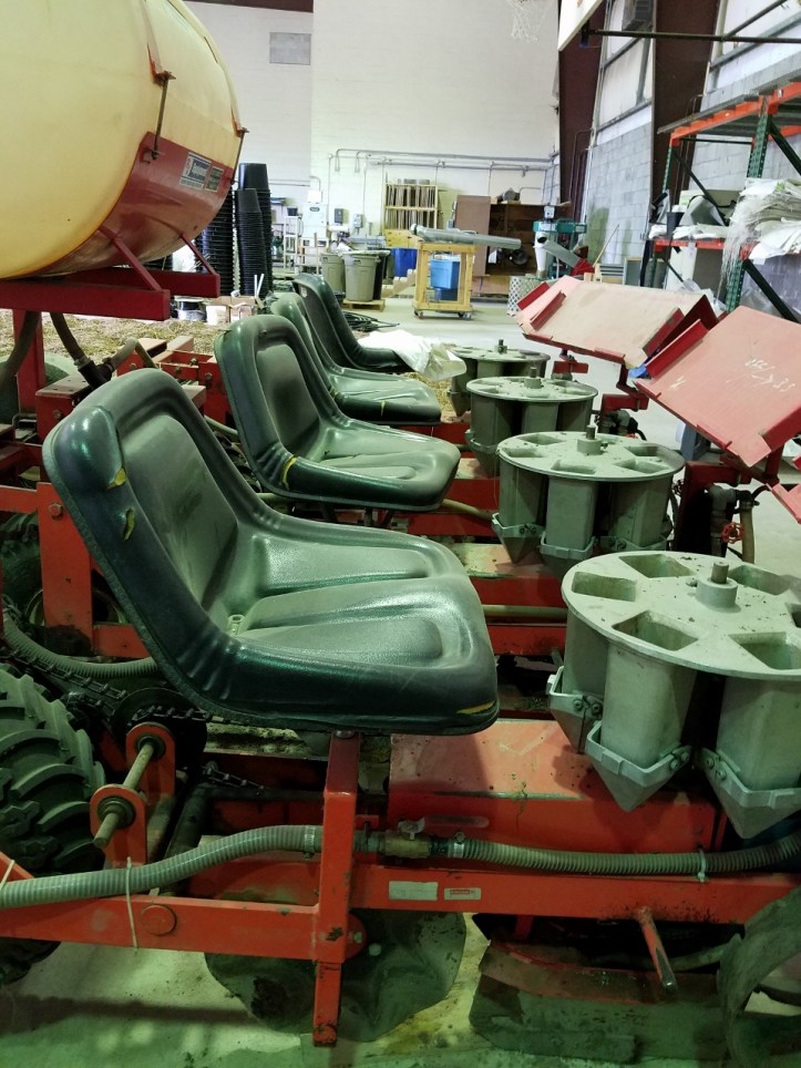 City Girl Goes Wild – Nature is my Therapy