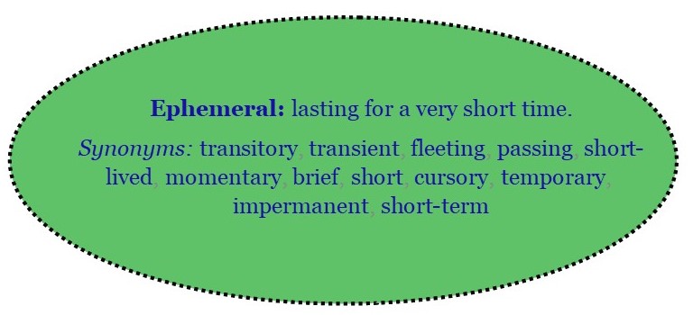 Spring Ephemerals – Nature is my Therapy