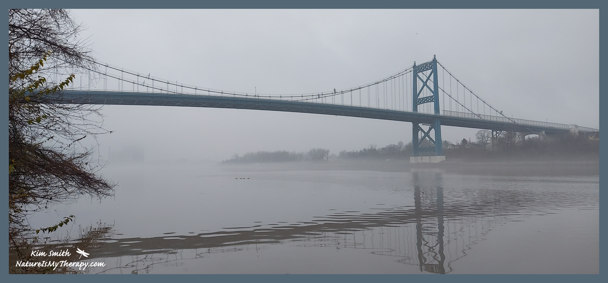 Ode to Fog – Nature is my Therapy